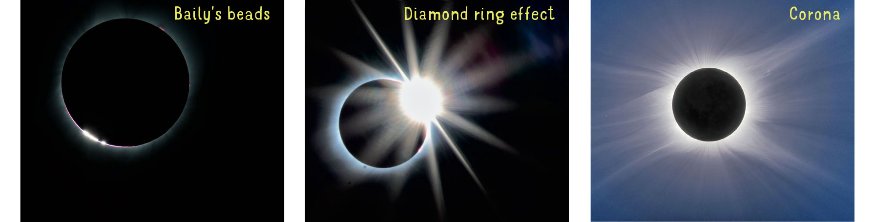 Don’t Miss the Solar Eclipse! | The NOVL