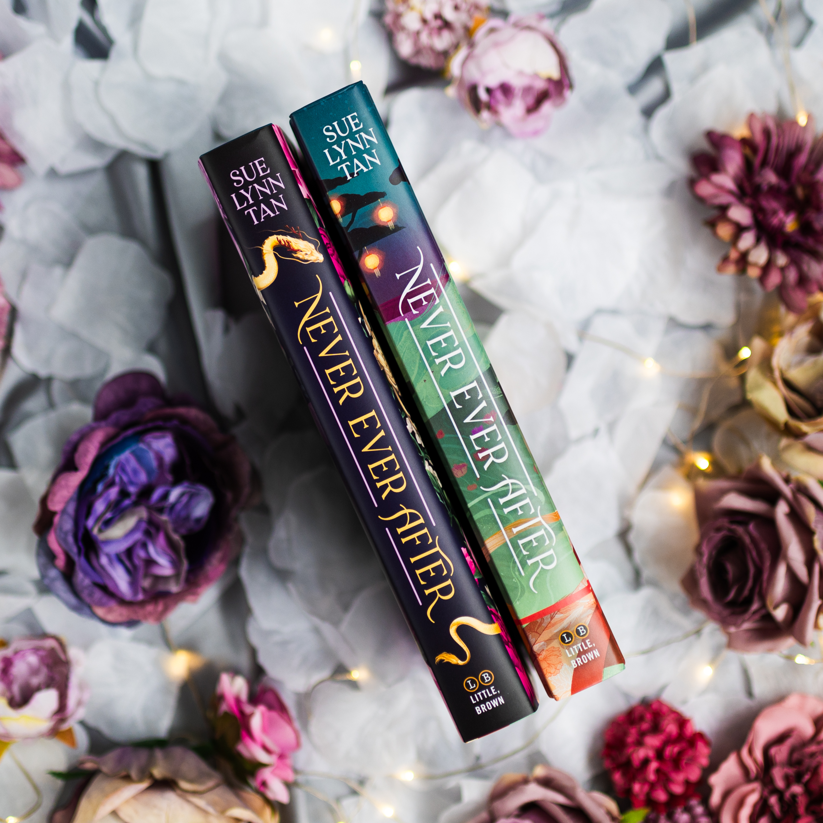 NOVL – Series Page – Never Ever After | The NOVL