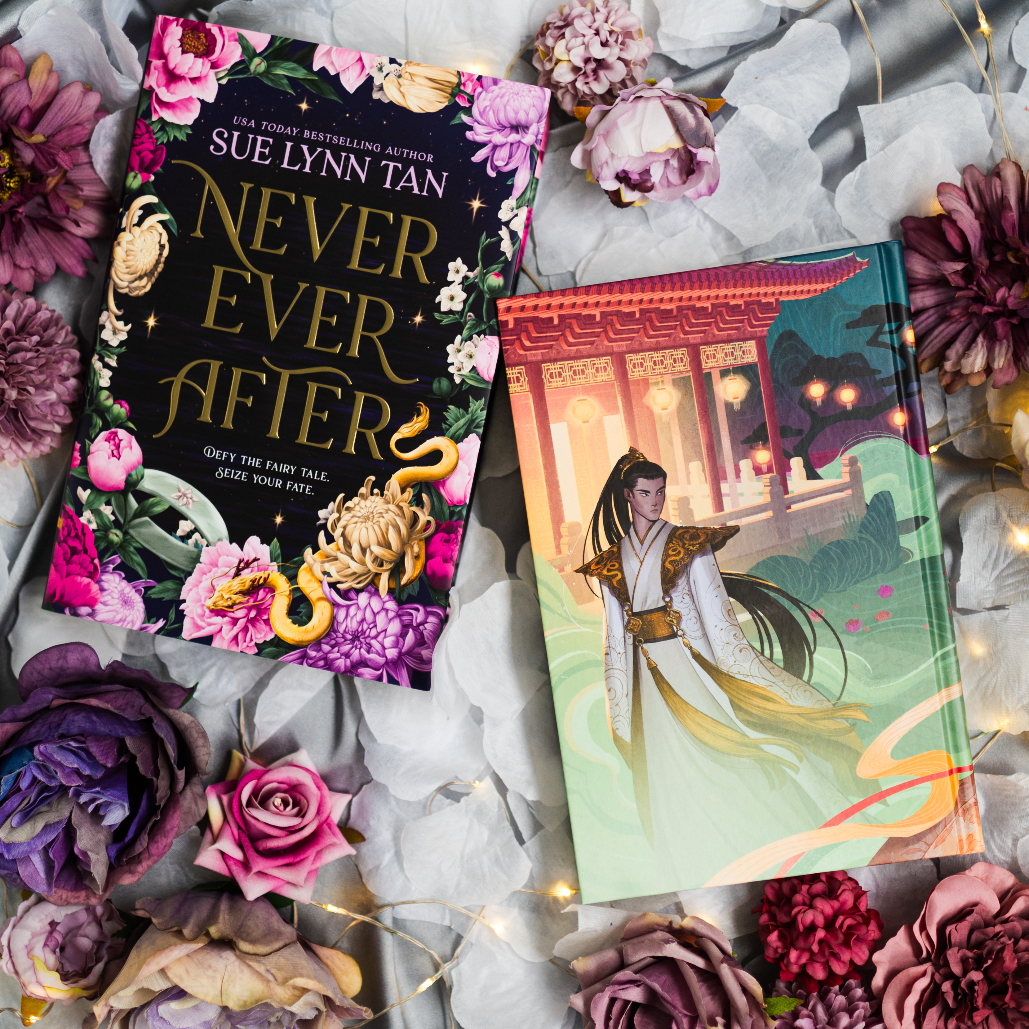 NOVL – Series Page – Never Ever After | The NOVL